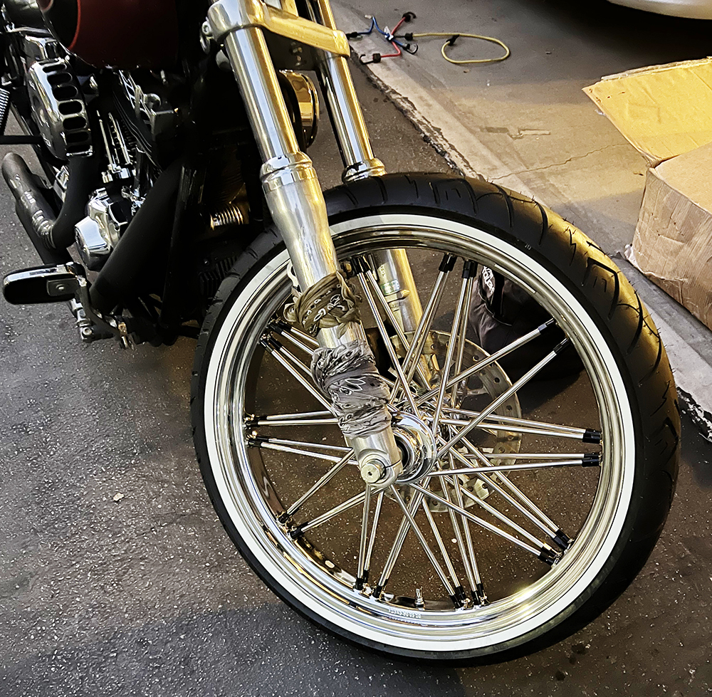 DNA SPECIALTY GALLERY