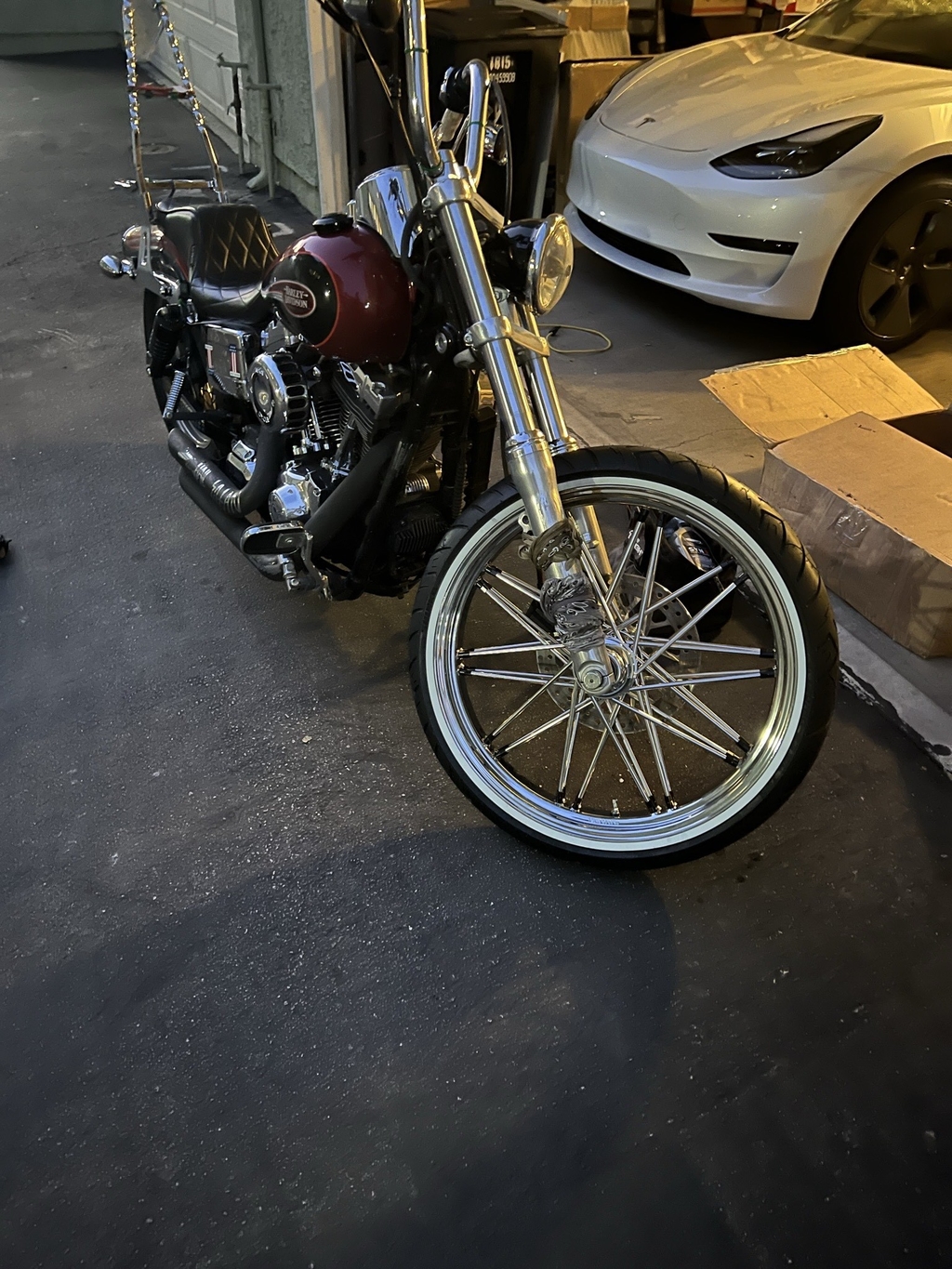 DNA SPECIALTY GALLERY