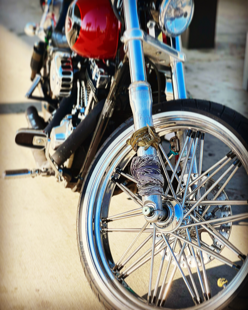 DNA SPECIALTY GALLERY