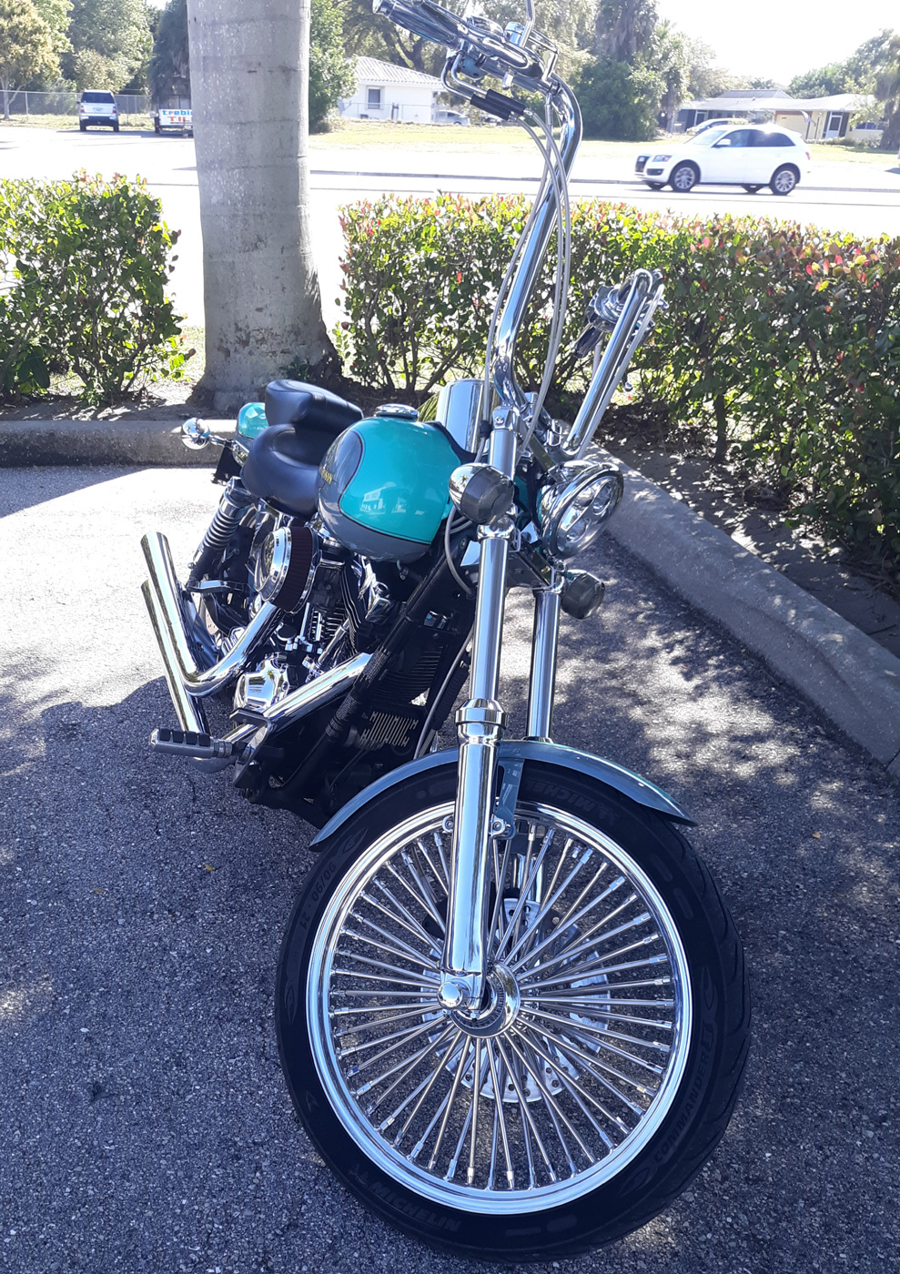 DNA SPECIALTY GALLERY