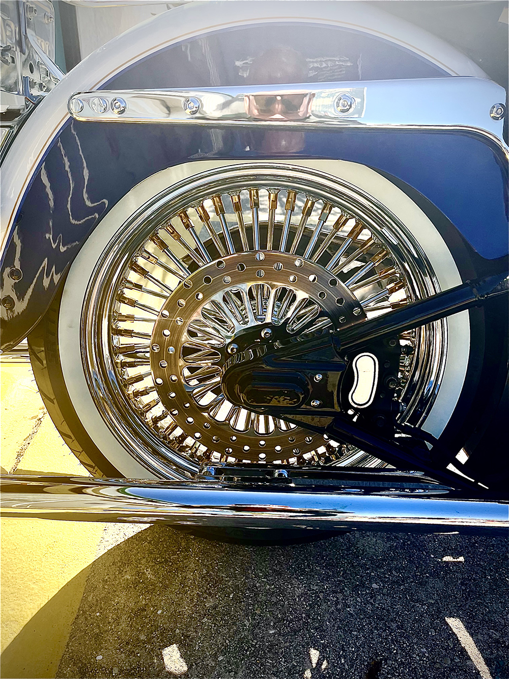 DNA SPECIALTY GALLERY