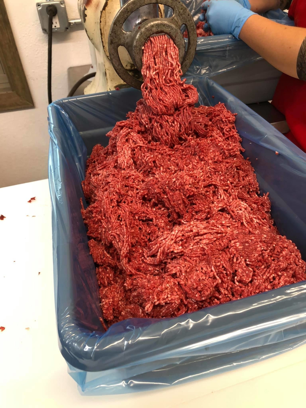 Wild Game Processing - Pictures – Old Barn Taxidermy & Tannery